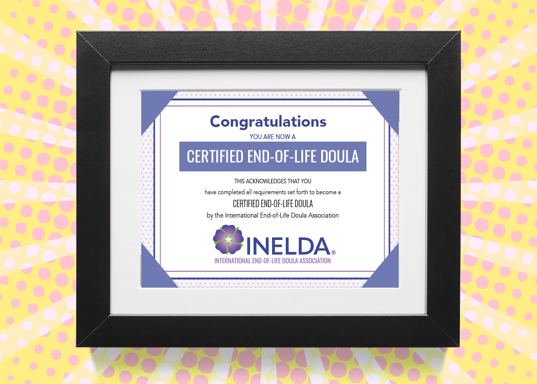 INELDA Update - JANUARY 2026